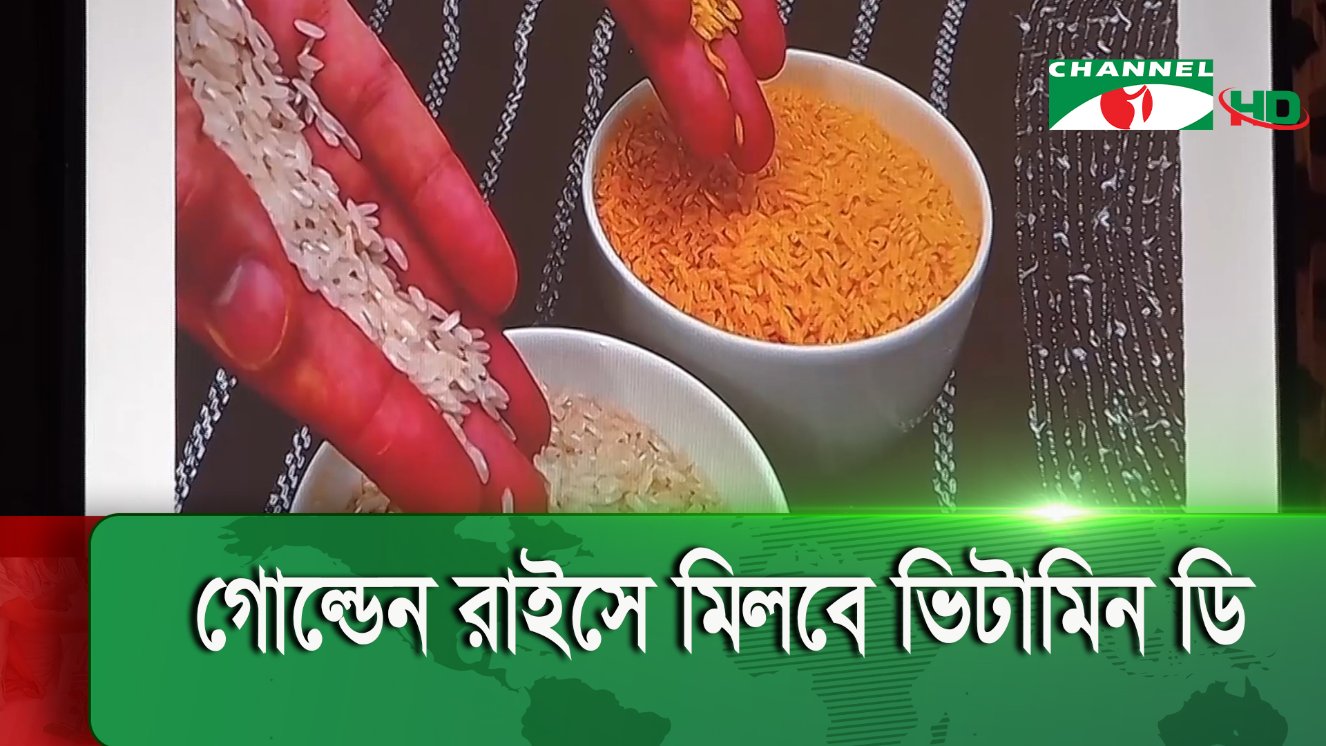ভিটামিন-এ সমৃদ্ধ ধান গোল্ডেন রাইস অনুমোদন পাচ্ছে শিগগিরই | চ্যানেল আই ...